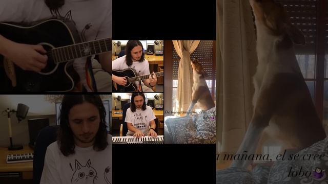 Soul Dog x The Kiffness - For Sam (Soulful Singing Dog Remix)