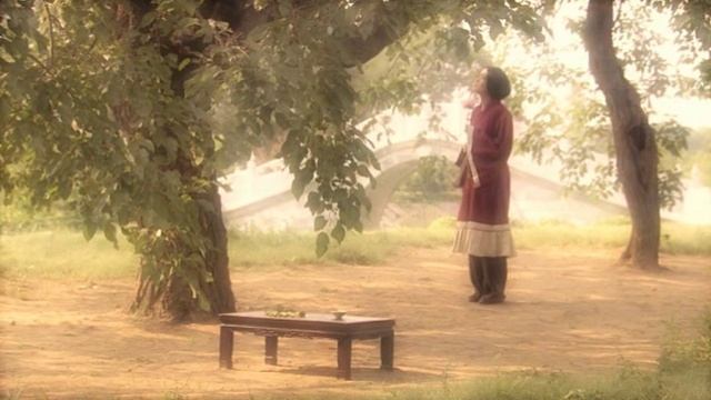 Дикий Китай - По ту сторону стены - 4 часть