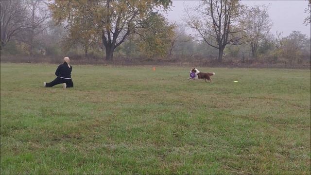 FrisbeeМанія2019   Елена АО Арго.mp4