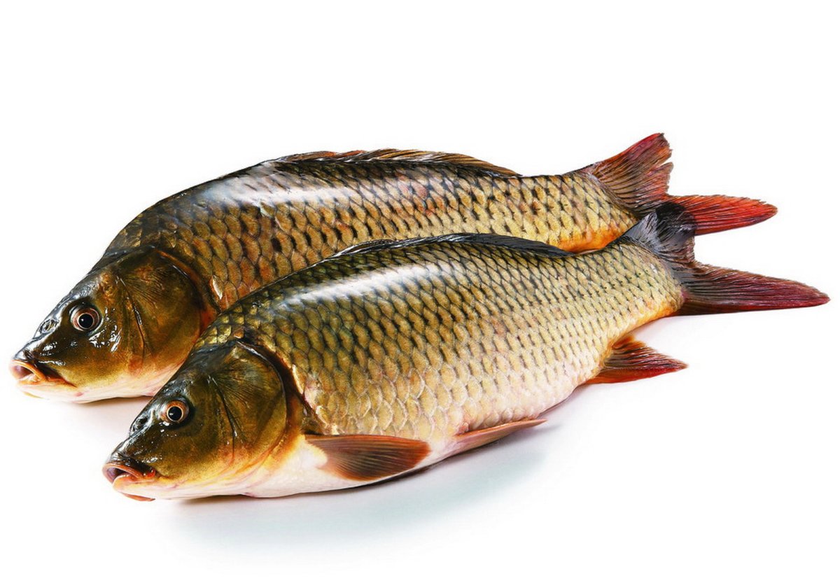 КАРП ПО-КИТАЙСКИ В ТОМАТНОМ СОУСЕ! ДИАБЕТ 2 ТИПА.