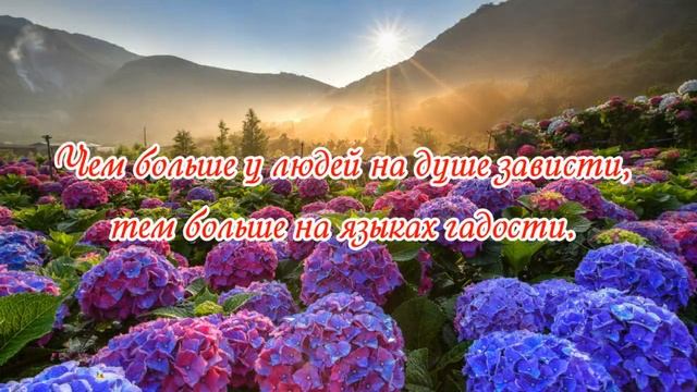 В этих словах есть смысл,  Задумайся