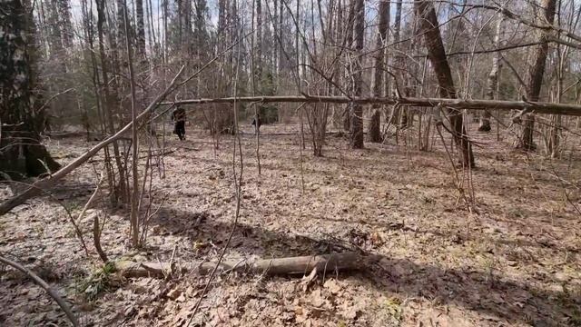 Соревнования: Спортивное ориентирование