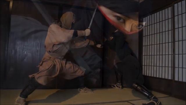 Спроси читателей Пришвинки. Кто такие ниндзя.