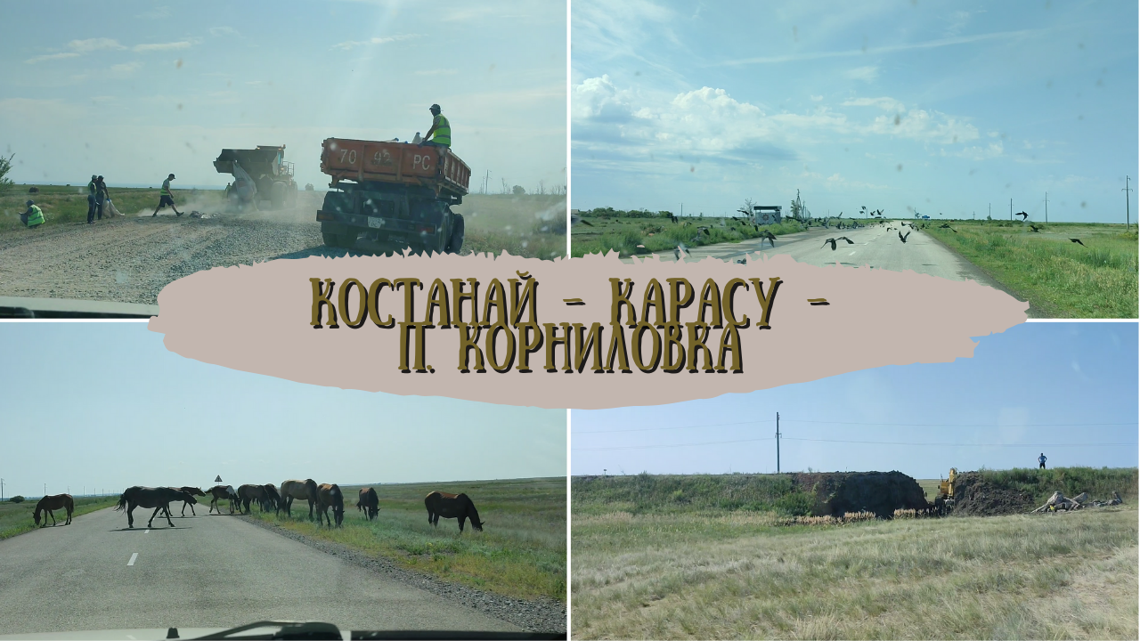 Дыра в дороге / Ремонт на троечку / Табун лошадей