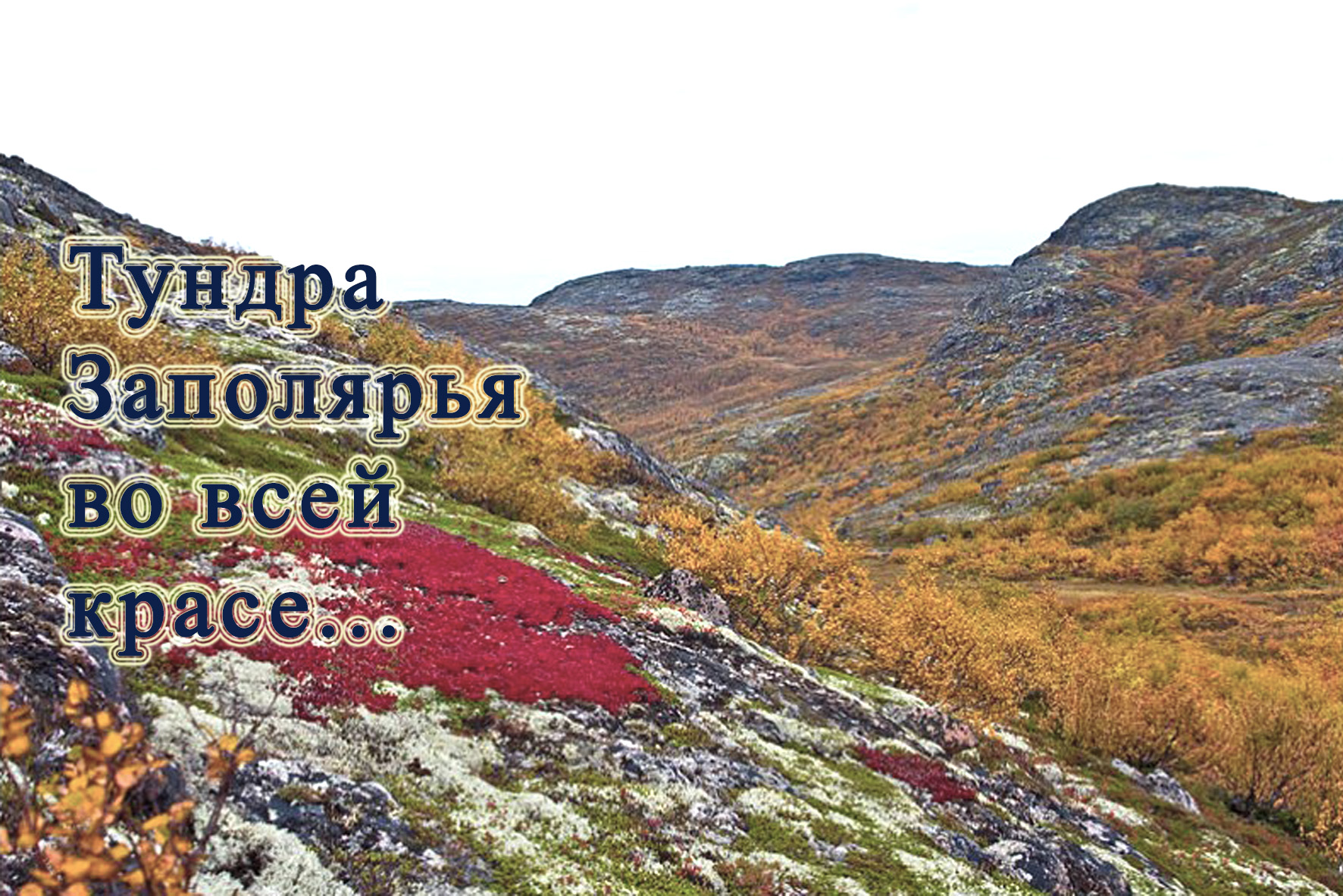 Тундра Заполярья, Мурманская область, сентябрь 2023