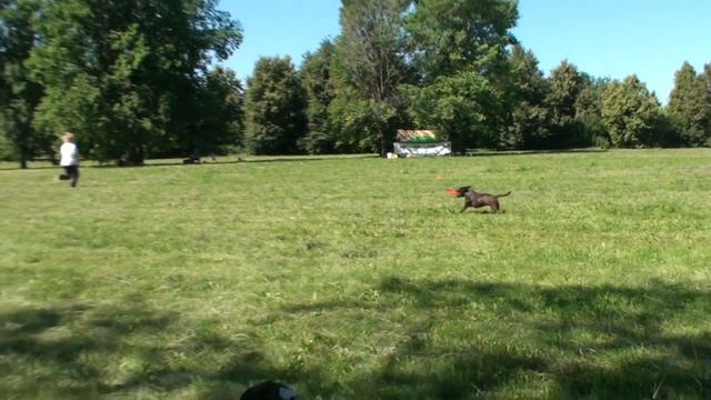 Кубок Клуба. Елена и Умка..mp4