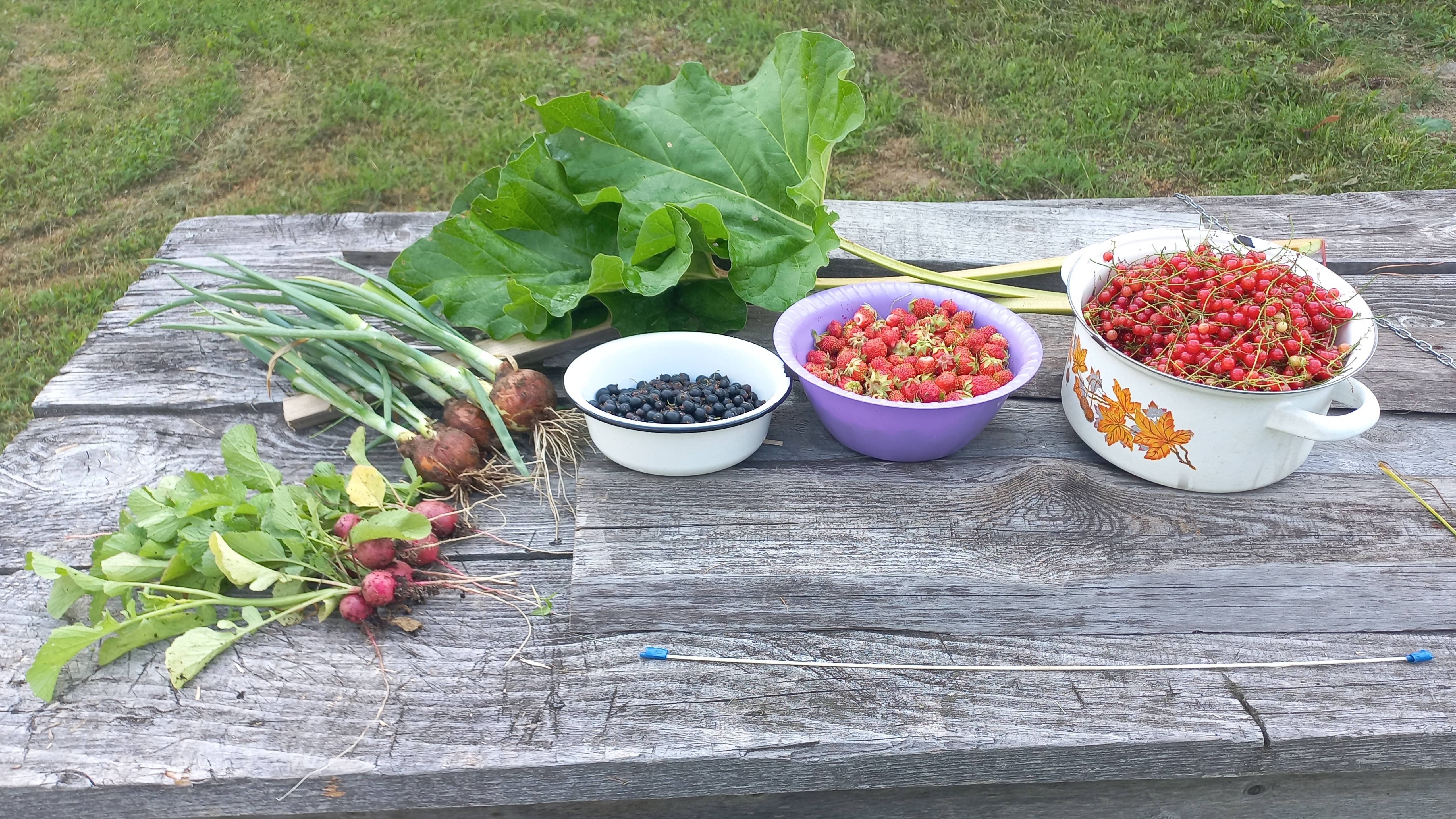 ДАЧА ИЮЛЬ 2024