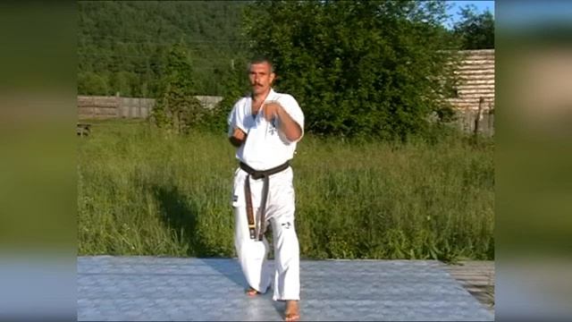 Ката Янцу