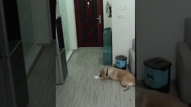 Улики уничтожены!