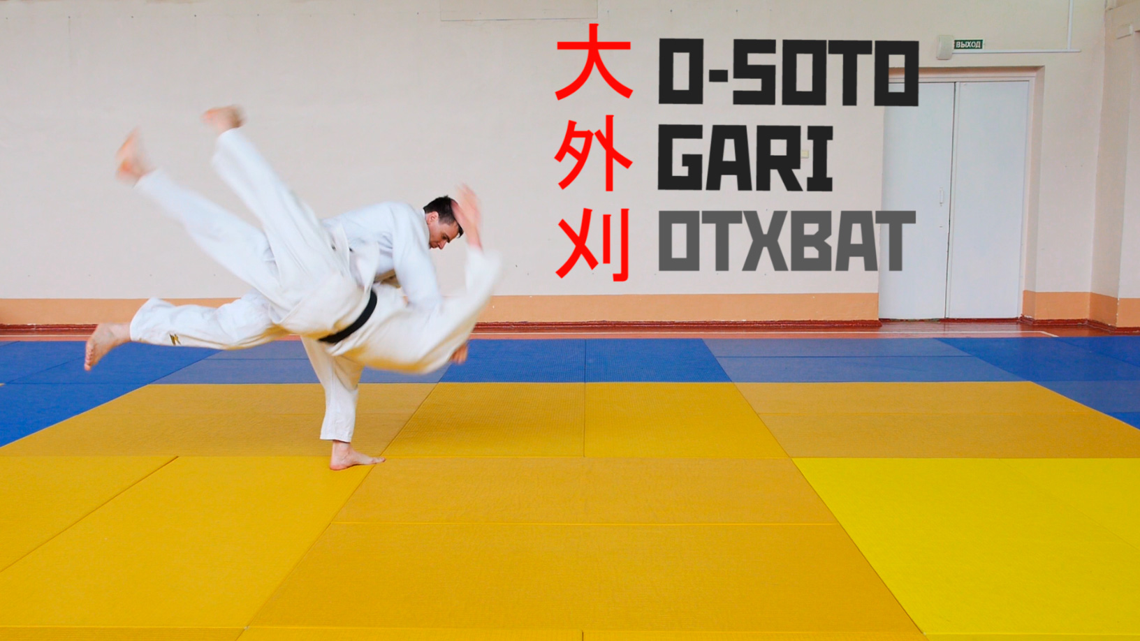 O SOTO GARI / Отхват / 大外刈