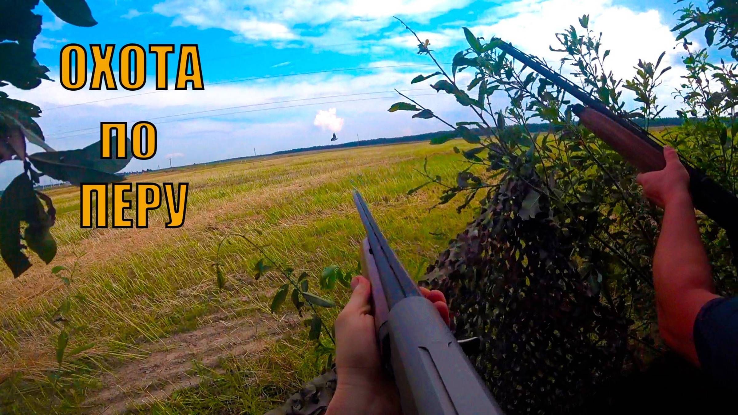 Открытие охоты на ВЯХИРЯ и УТОК 2024