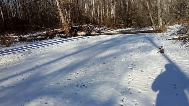 Иду по руслу речки Ерик у поворота