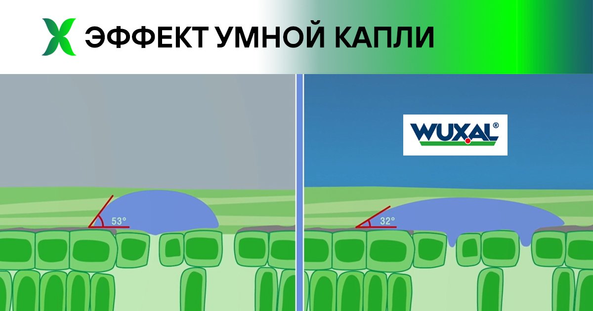 Как работают суспензии Вуксал на Вашем поле/Применение суспензии Вуксал в сельском хозяйстве