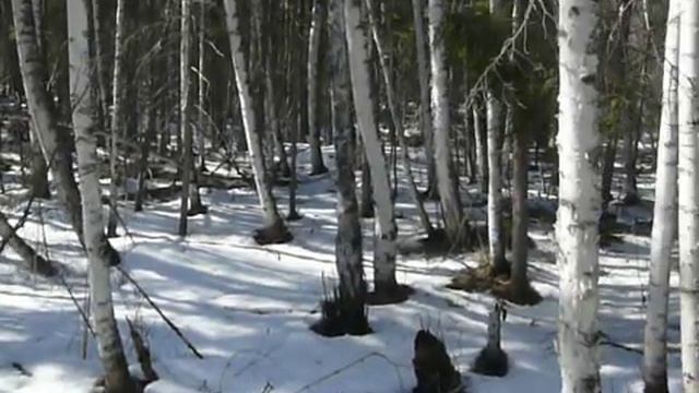 Вспомогательные способы ориентирования. Часть 8