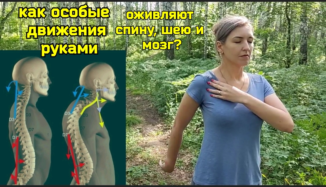 Как спасти от деградации шею, мозг и грудной отдел позвоночника? Научитесь двигать руками