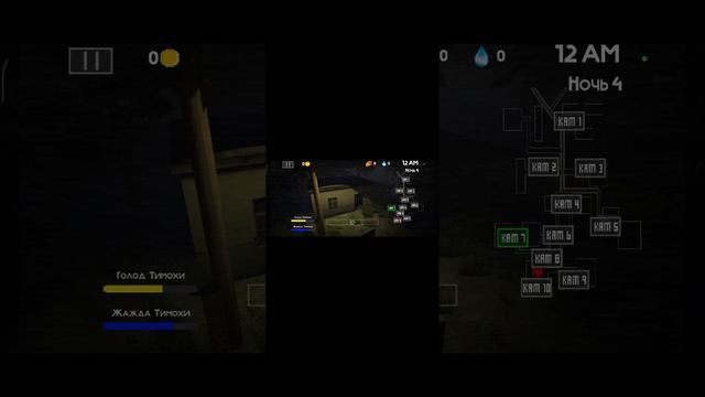 пять ночей с тимохой