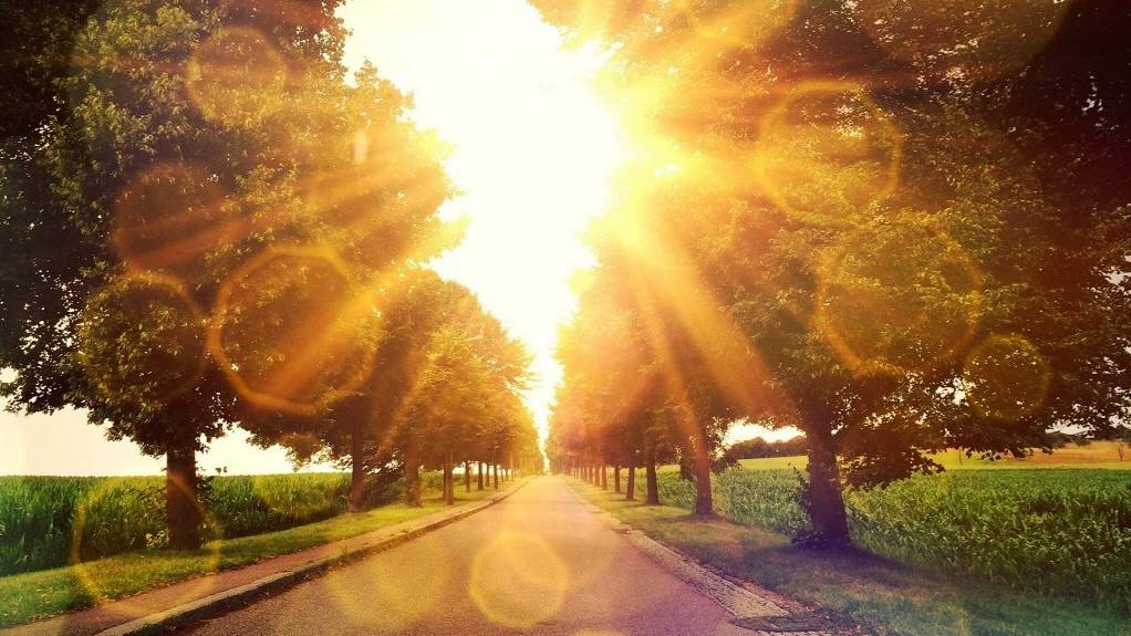 Назад дороги нет