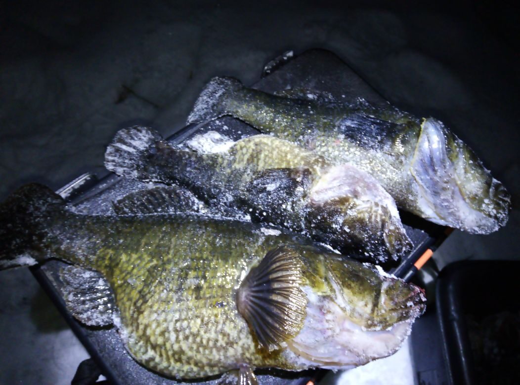 Ловля ротана. В поисках трофея. Зимняя рыбалка на ротана.