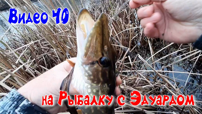 На Рыбалку с Эдуардом ВИДЕО - 40. Рыбалка Забытым Дедовским способом на Жерлицы. Приятный Результат.