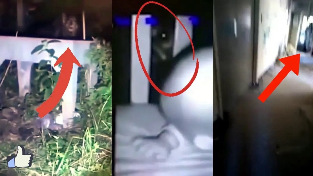 Все были в ужасе, когда увидели эти записи со своих камер Видеонаблюдения и Телефонов.