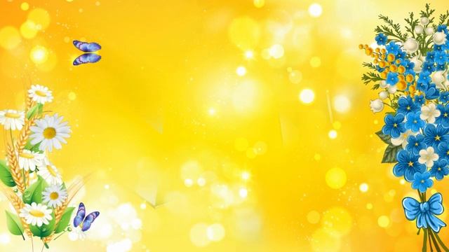 Футаж. Полевые цветы. Ромашки, бабочка