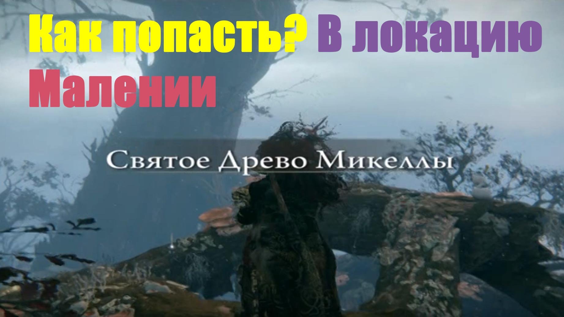 Как попасть в локацию Малении Святое Древо Микеллы