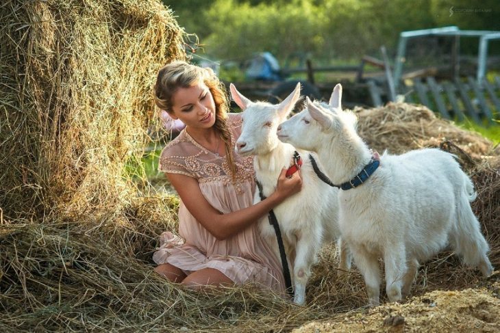 " ДЕРЕВЕНСКАЯ СНОХА "  Вечерний рассказ