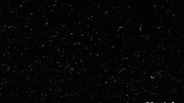 Kwick Self - die Sternen