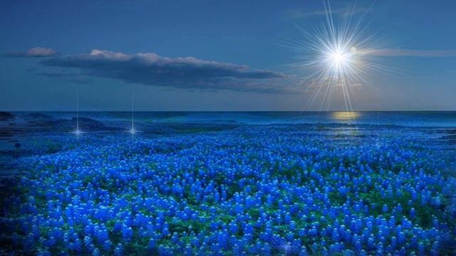 На небе жил прекрасный Ангел