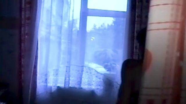 1997 год Гвоздикова Наталья Владимировна