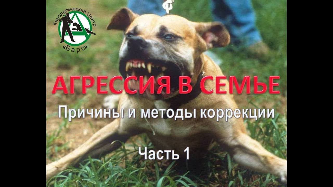 НЕРВНЫЙ СРЫВ = АГРЕССИЯ В СЕМЬЕ часть 1