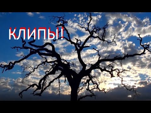Красоты истории.