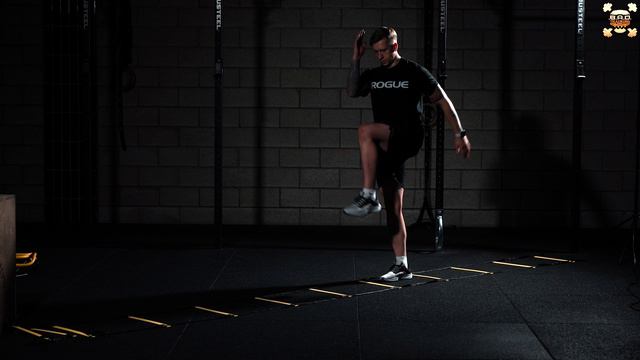 Прыжки коорд. лестница