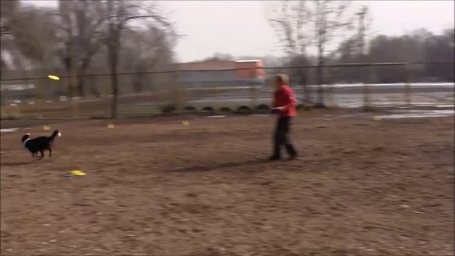 Фризби Вебстайл 2015  Татьяна и Боня.mp4