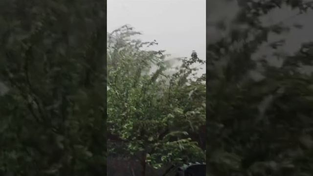 у нас очень сильный ветер и дождь💦💦☔🌂💦💦💦💦💦
