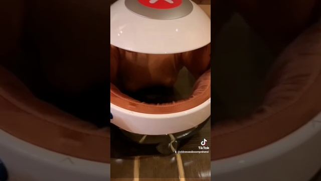 Массажёр для головы!/Head Massager!?