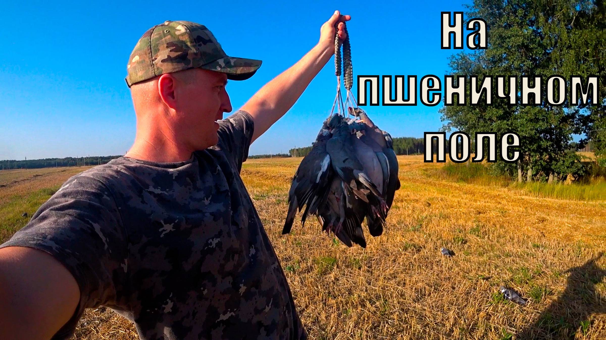 Охота на ВЯХИРЯ. Пшеничное поле дает результат