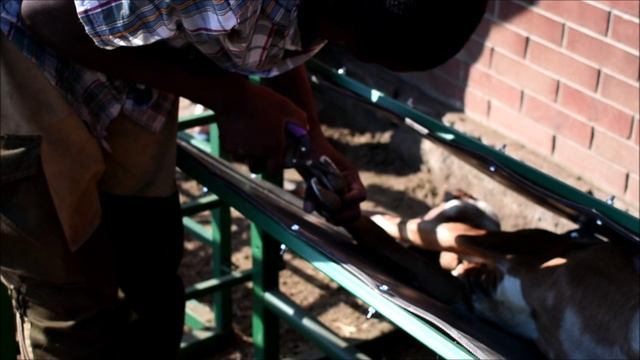 ШИПМАСТЕР.Ру Шип Мастер:  Обрезка копыт козам, обрезка копыт овцам Станок - оборудование ШИПМАСТЕР