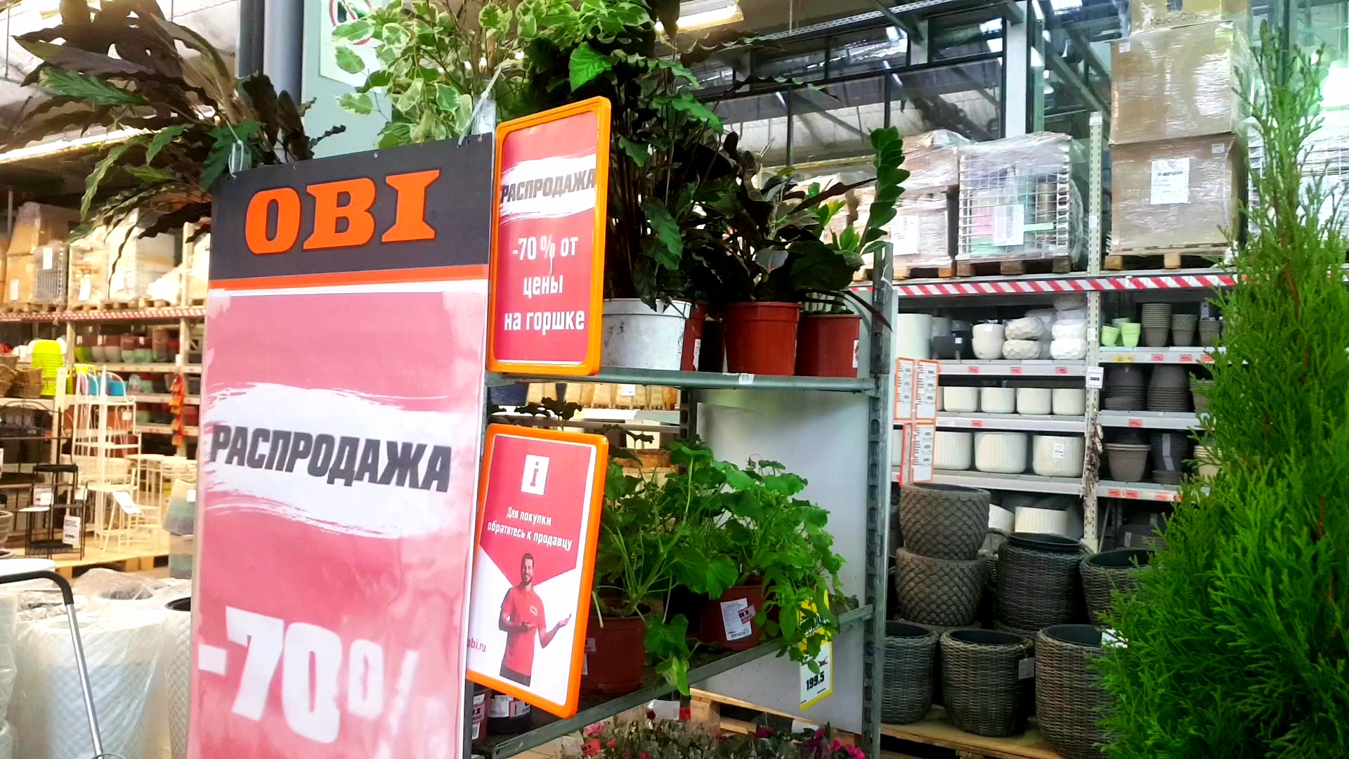 ?⚘ОБИ?Уценка Комнатных Цветов?