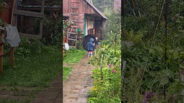 Самое главное желание в конце года?