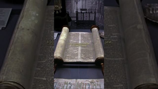 Что свиньи не должны знать о своих животноводах☝️?