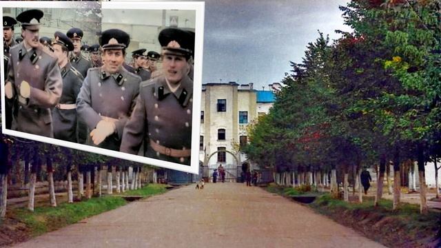 Пинкевич ВА65