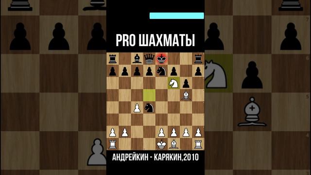 Как Сергей Карякин попался в ловушку Дмитрию Андрейкину
