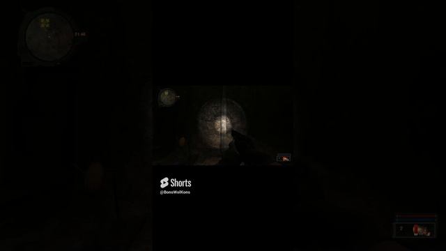 Слабонервность Бонса #shorts #сталкер #stalker