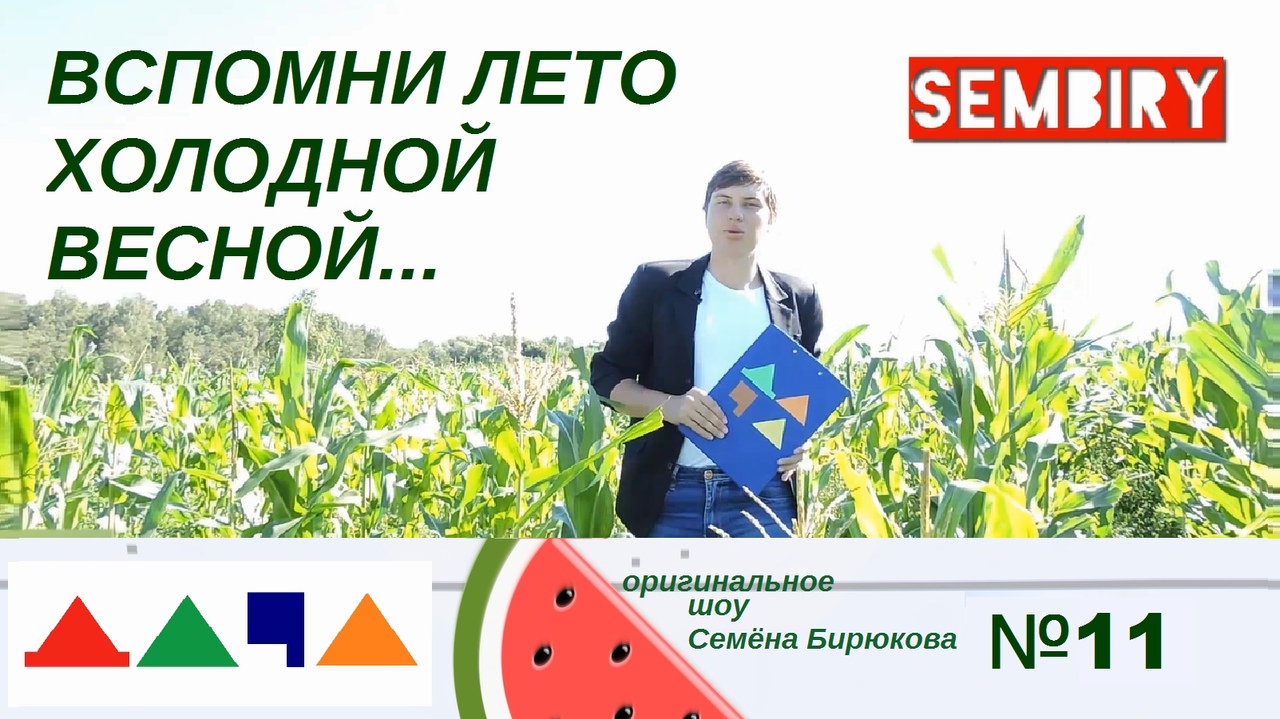ВСПОМНИ ЛЕТО ХОЛОДНОЙ ВЕСНОЙ: ЧТО ПОЮ В МАШИНЕ? ПОЛЕ КУКУРУЗЫ. ШОУ ДАЧА. Выпуск от 02.04.2023