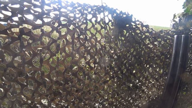 охота на ВЯХИРЯ. ушел к Кузьмичу на кордон