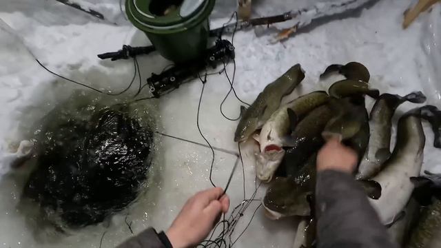 Проверка перемета на Енисее и новый дом для ершей😃