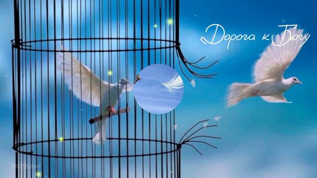 🎵.. АЛЕКСАНДР АНГАЛЬТ vs STIVE MORGAN (Дорога к Богу)