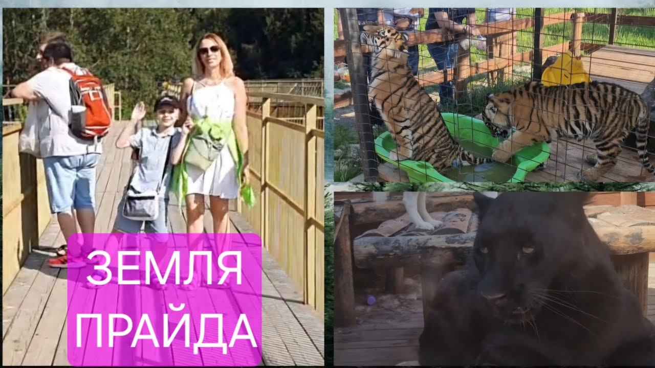 Земля Прайда 3