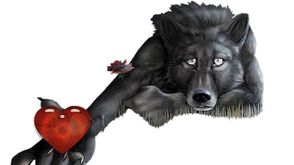 Волки (волки есть волки, их очень жаль, но иллюзий не строю, песня «Вожак», исп. Александр Маршал)